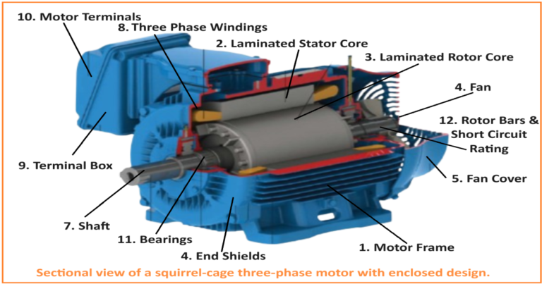 How Three Phase Asynchronous Motor Works? – PAKTECHPOINT